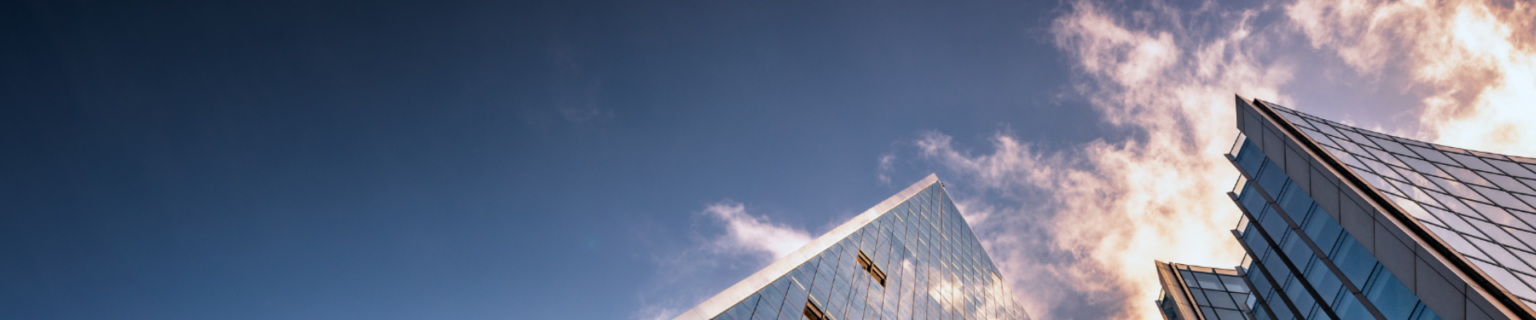 System Capital | Global Equities Investment Manager